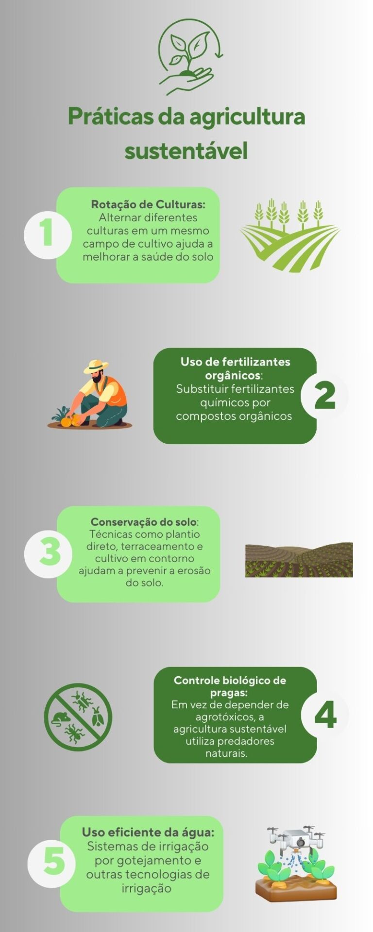 Agricultura sustentável: O caminho para um futuro verde e produtivo