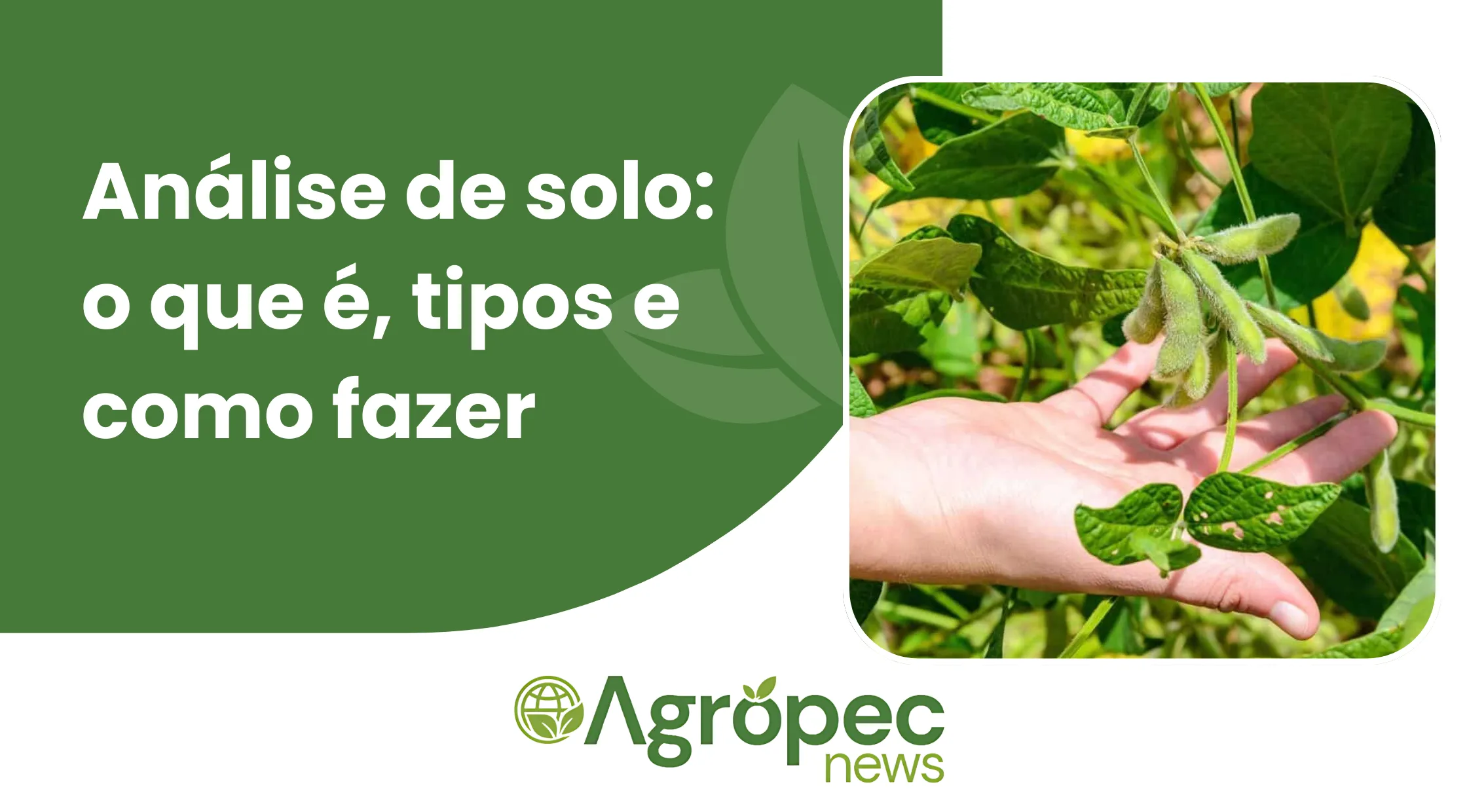 Análise de solo: o que é, tipos e como fazer