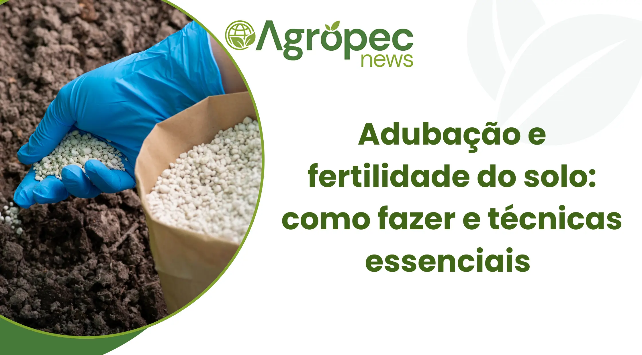 Adubação e fertilidade do solo: como fazer e técnicas essenciais