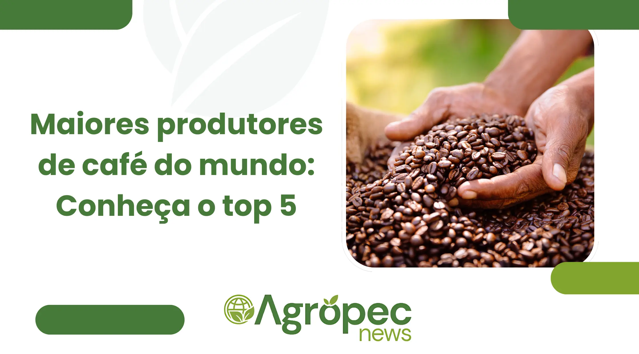 Maiores produtores de café do mundo: Conheça o top 5