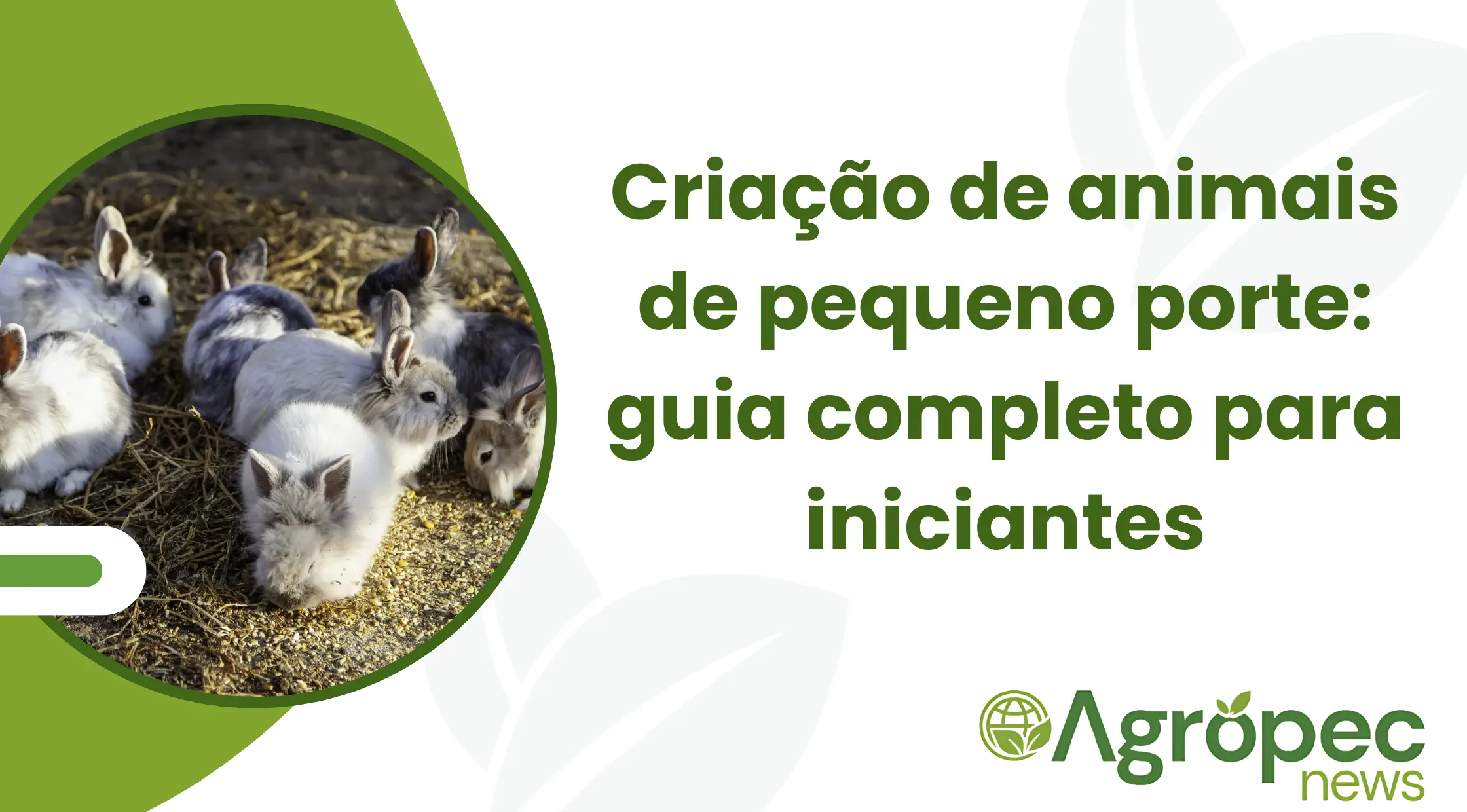 Criação de animais de pequeno porte: guia completo para iniciantes