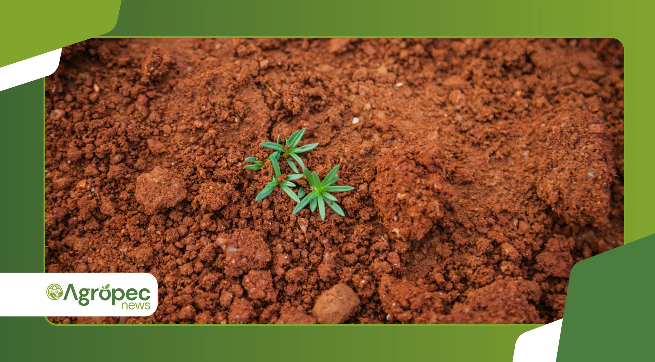 Plantio em solo compactado: técnicas modernas de correção